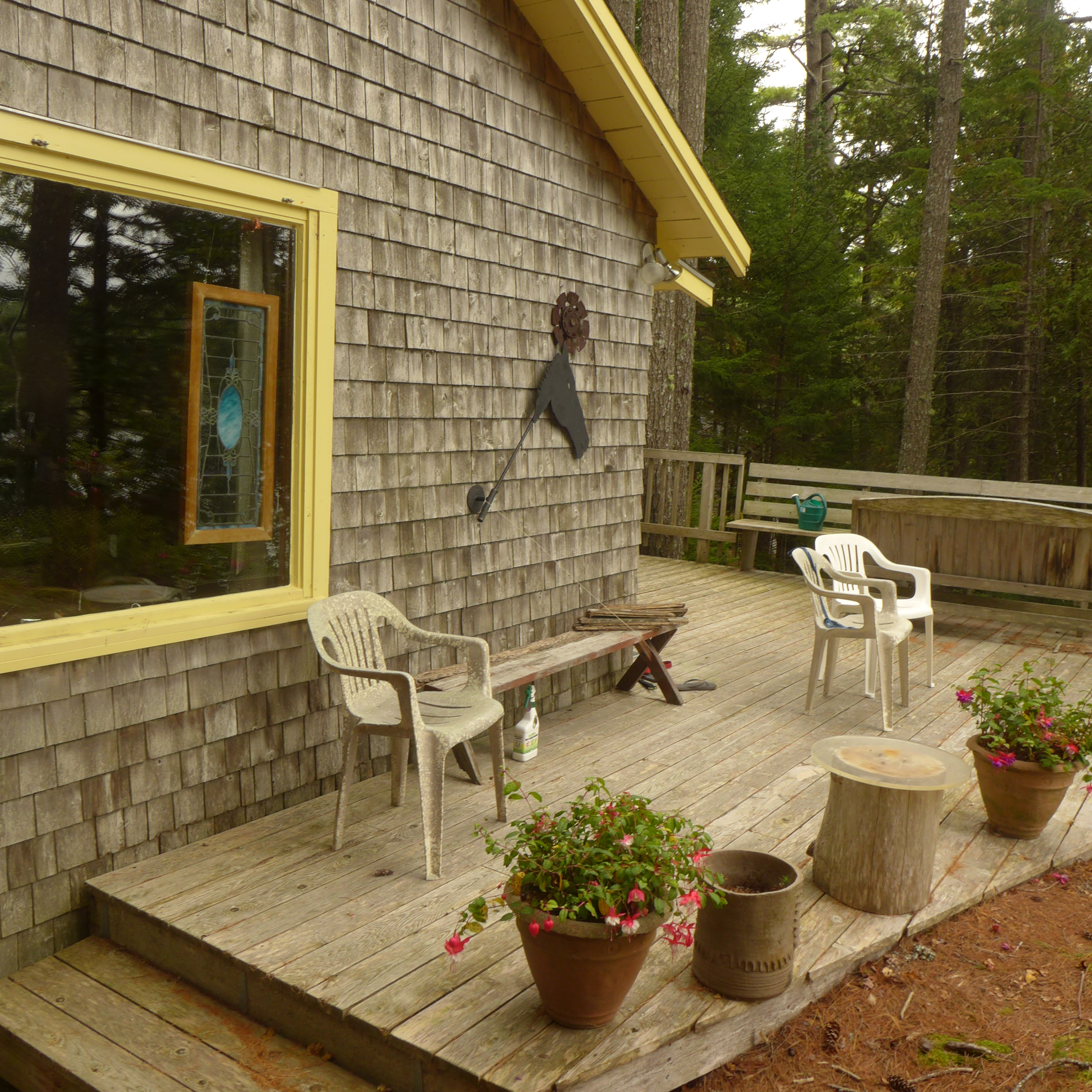 At Home on Echo Lake | Branching: Thoughts of an Ever-Curious Author